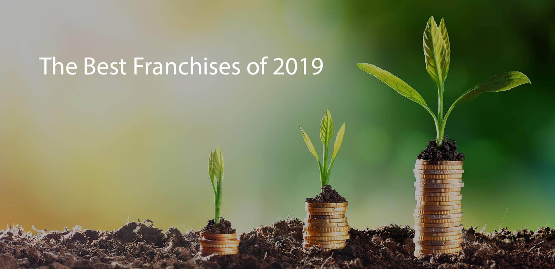 Franchise Royalties, Franchsing Royalties - Lime Licensing Group
